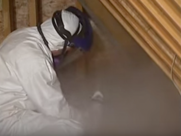 Mold Removal Dallas, Texas - Precision Mold Removal