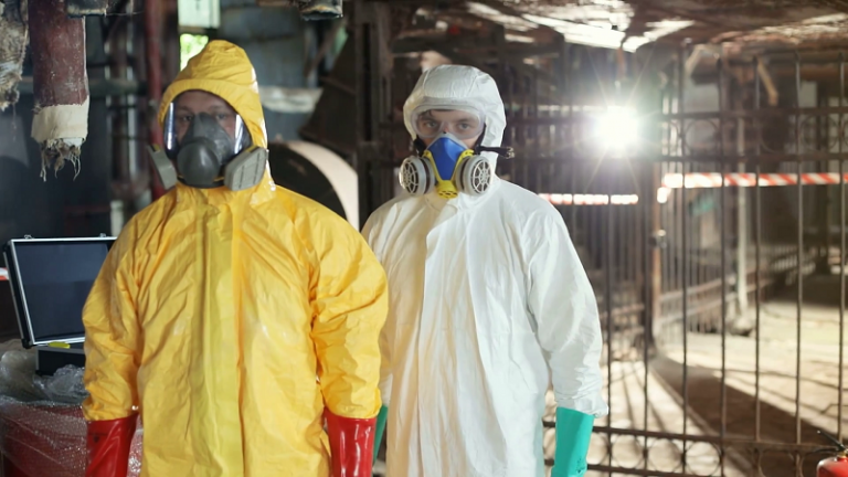 Biohazard Clean-up Los Angeles - Precision Mold Removal