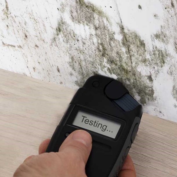 Mold Removal Dallas, Texas - Precision Mold Removal